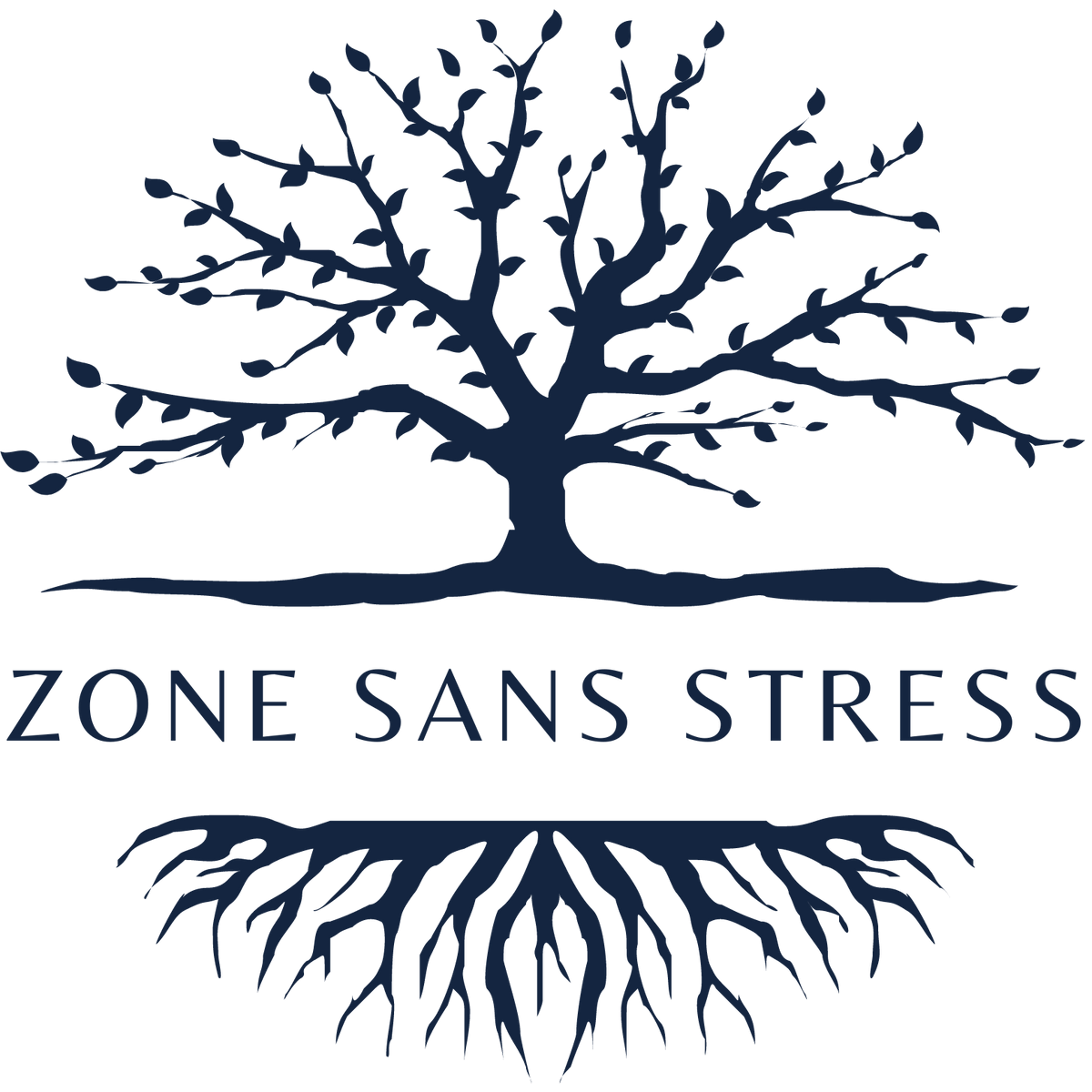 ZONE SANS STRESS – Zone Sans Stress